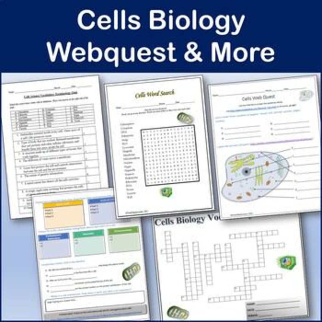 Animal Cells Webquest - Biology Science Internet Activity - Editable ...