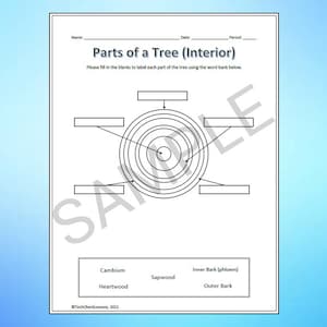 Parts of a Tree - Science Labeling Worksheet - Editable DIGITAL ...