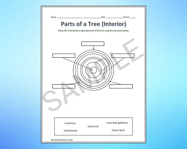 Parts of a Tree - Science Labeling Worksheet - Editable DIGITAL ...
