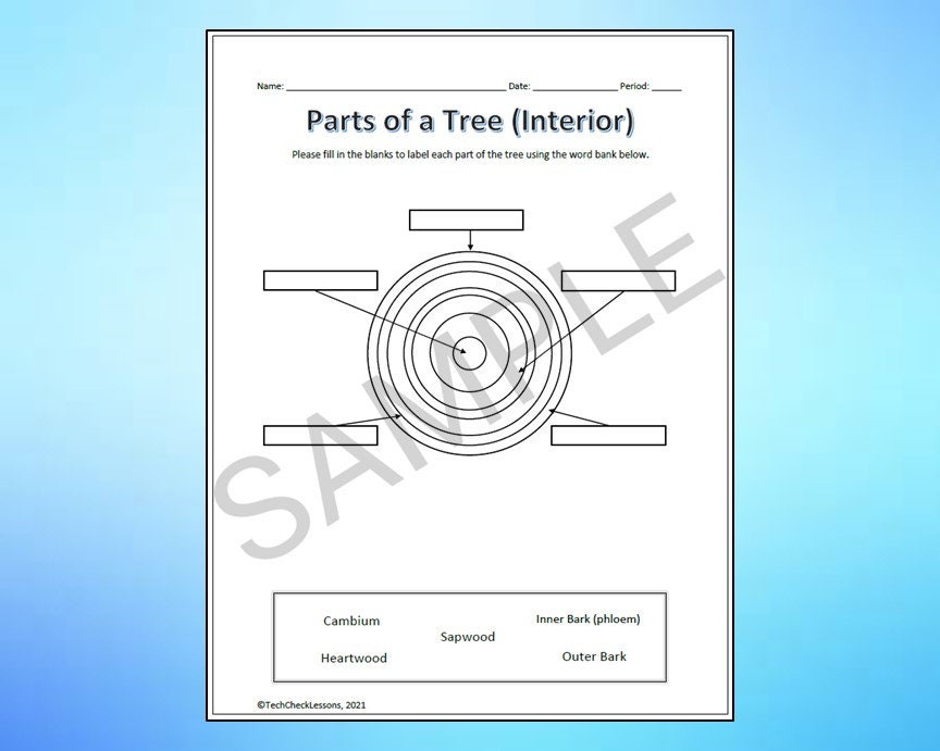 Parts of a Tree - Science Labeling Worksheet - Editable DIGITAL ...