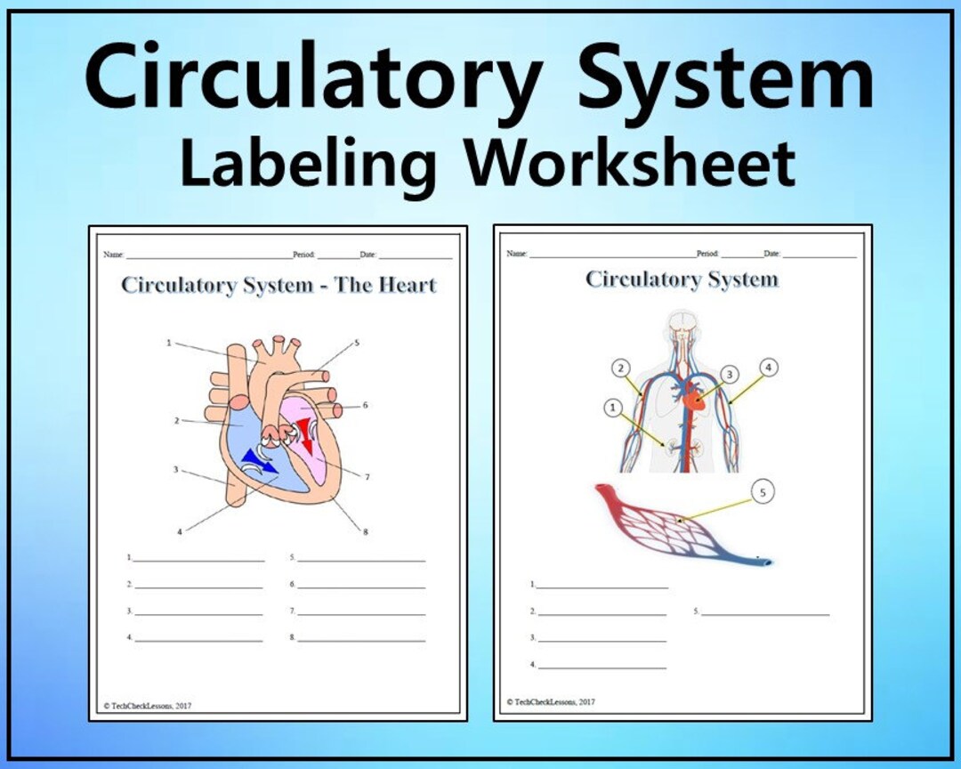 Circulatory System For Kids Worksheet Circulatory System For Kids Worksheet