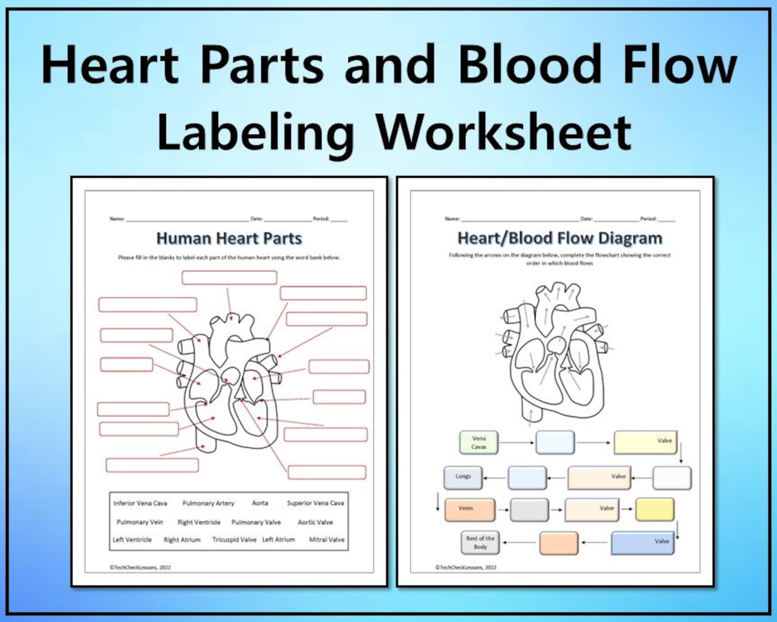 Human Heart Parts and Blood Flow Labeling Worksheets - Diagram/graphic ...
