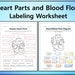 Human Heart Parts and Blood Flow Labeling Worksheets - Diagram/graphic ...
