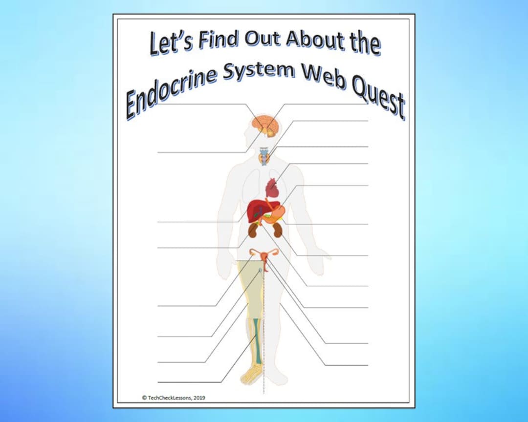 Endocrine System Science Webquest Internet Activity - Editable DIGITAL ...