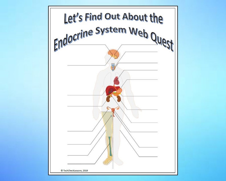 Endocrine System Science Webquest Internet Activity - Editable DIGITAL ...