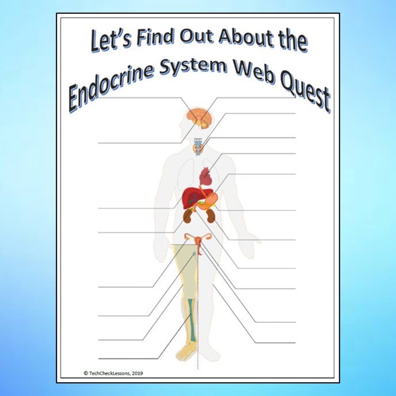 TechCheckLessons - Etsy