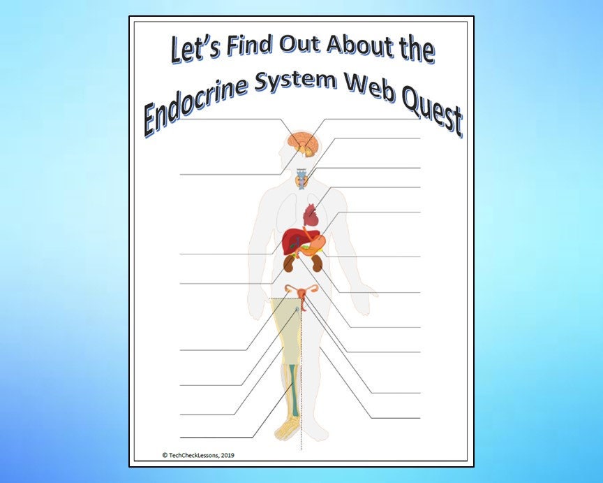 Endocrine System Science Webquest Internet Activity - Editable DIGITAL DOWNLOAD - Etsy