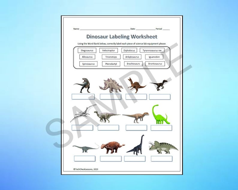 Dinosaur Labeling & Facts Worksheets - Science Editable DIGITAL ...
