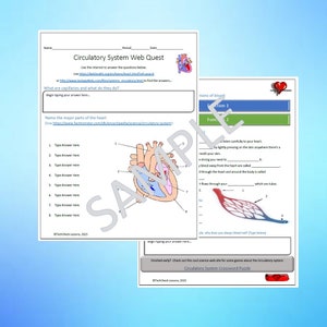 Body Systems Webquests Bundle (8) - Science - Editable DIGITAL DOWNLOAD ...