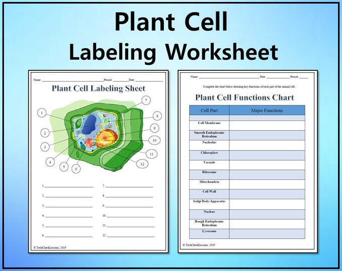 Plant Cell Labeling & Functions Science Worksheet - Editable DIGITAL ...