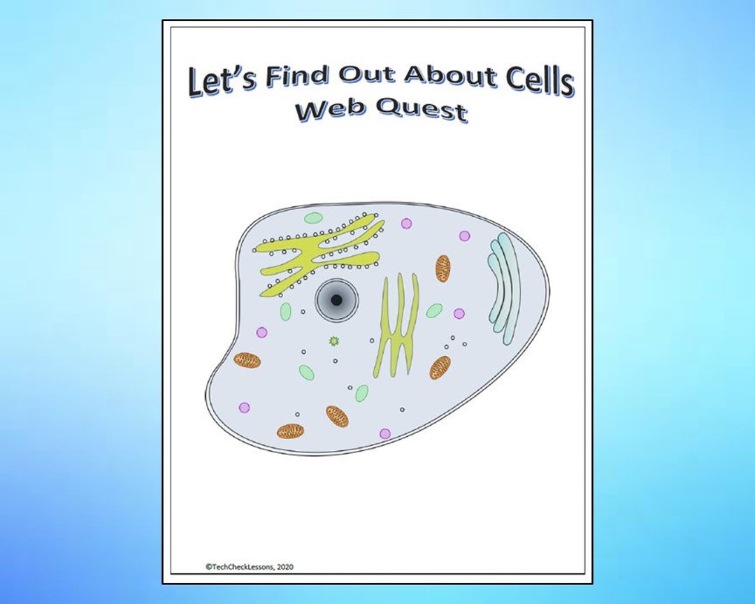 Animal Cells Webquest Biology Science Internet Activity Editable ...