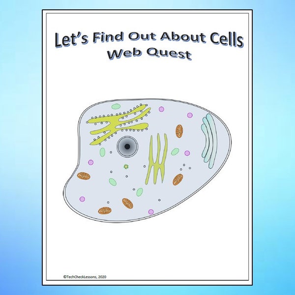 Circulatory System Labeling Worksheet Science Editable DIGITAL DOWNLOAD ...