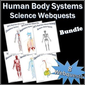 Body Systems Webquests Bundle (8) - Science - Editable DIGITAL DOWNLOAD ...