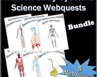 Human Body Systems Labeling Worksheets/activity/printable Bundle ...