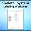 Human Body Systems Labeling Worksheets/activity/printable Bundle ...