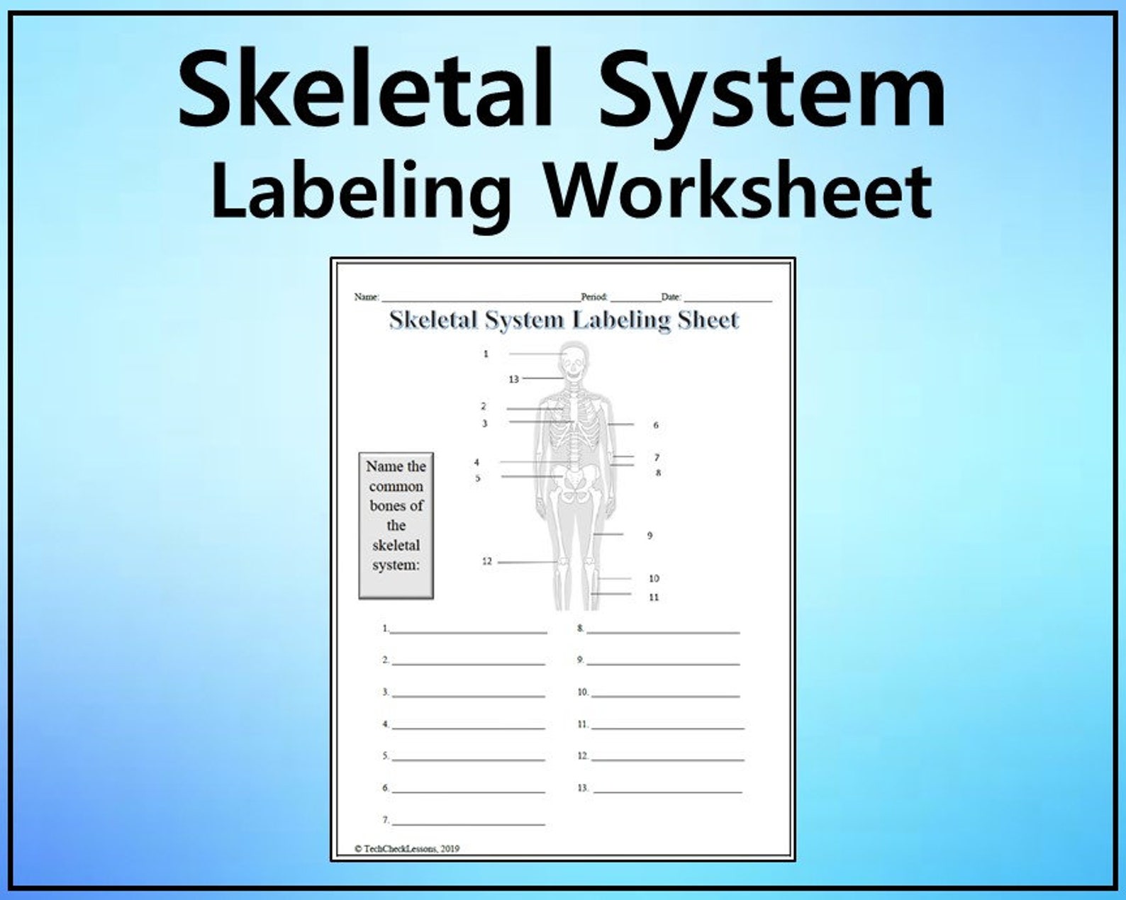 Skeletal System Labeling Worksheet - Science Editable DIGITAL DOWNLOAD ...