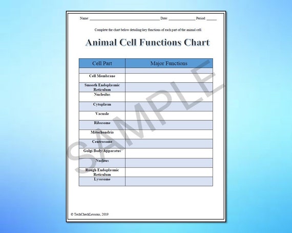 Animal Cell Functions Chart
