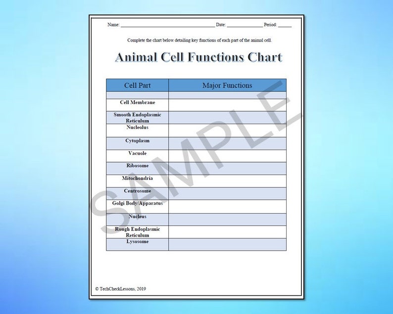 Animal Cell Labeling & Functions Science Worksheet - Editable DIGITAL ...