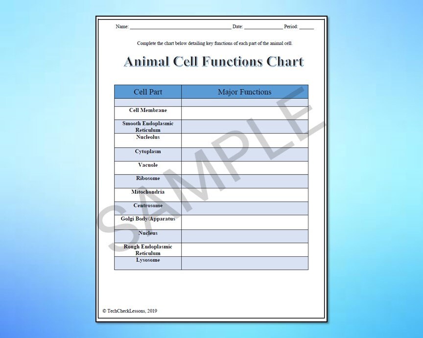 Animal Cell Labeling & Functions Science Worksheet - Editable DIGITAL ...