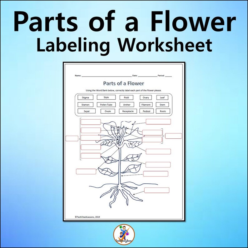 Parts of a Flower Labeling Science Worksheet - Editable DIGITAL ...
