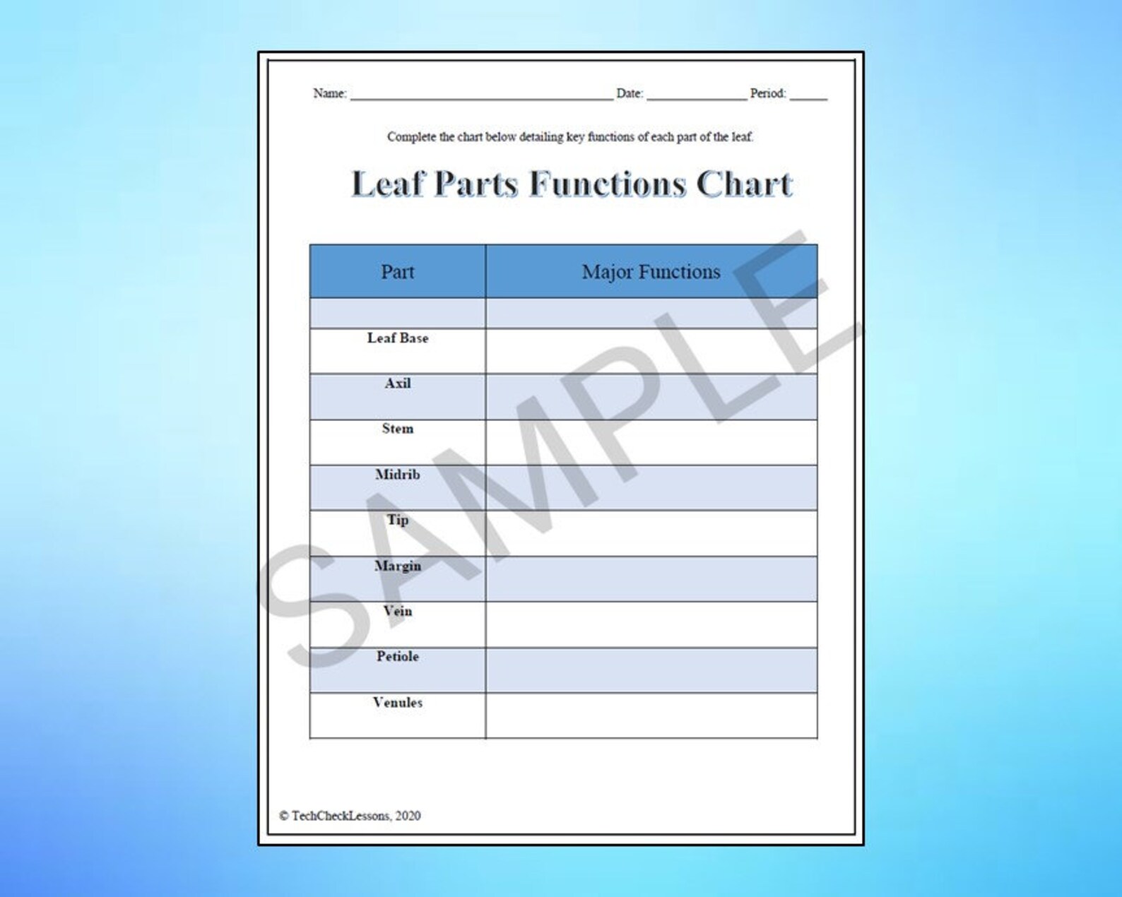 Parts of a Leaf Structure & Functions Labeling Worksheet - Science ...