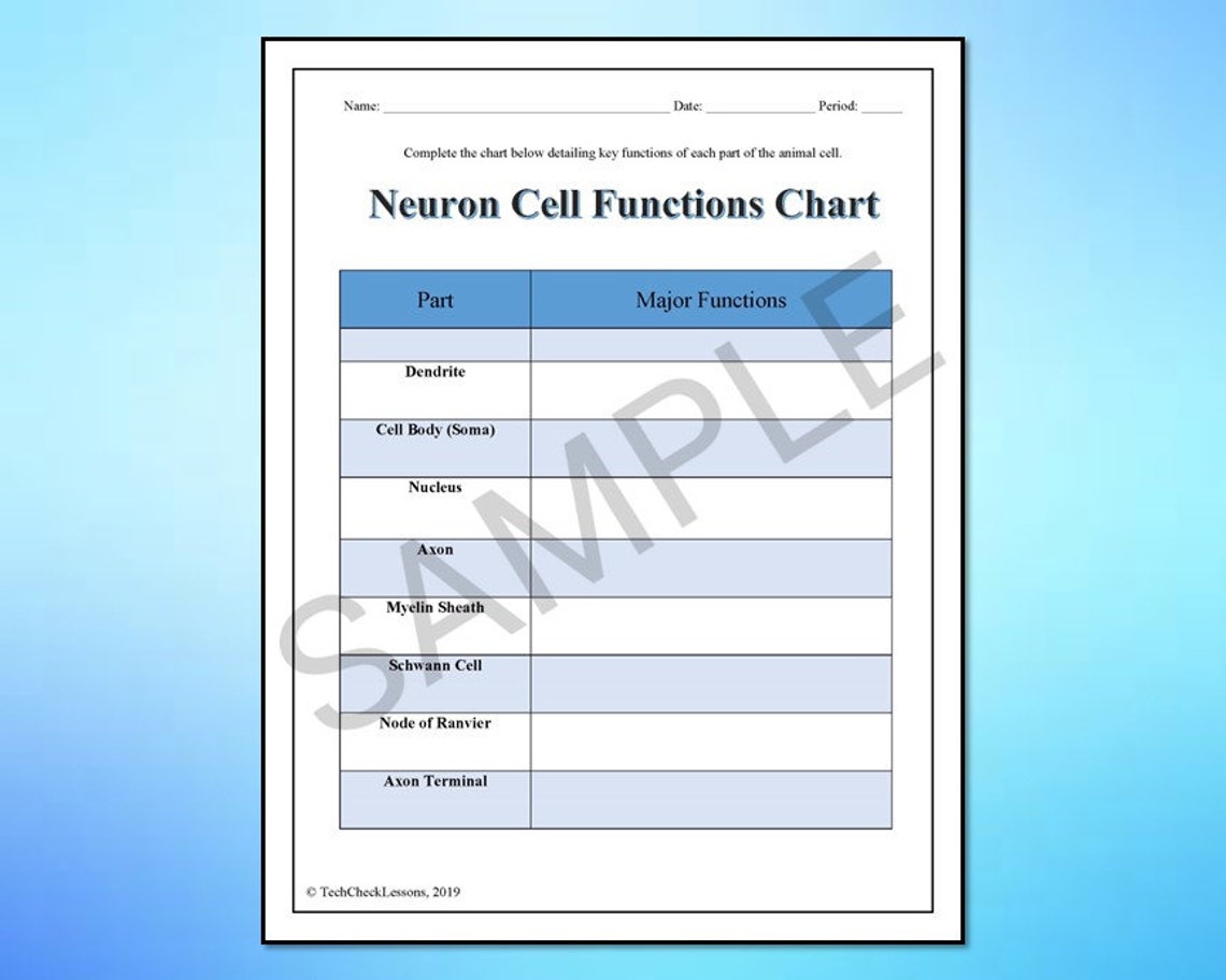 Neuron Cell Labeling & Functions Science Worksheet Editable DIGITAL ...