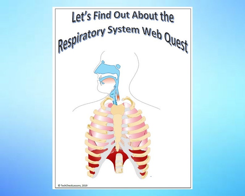 Respiratory System Science Webquest Internet Activity - Editable ...