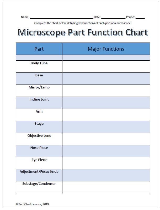 Parts of a Microscope Labeling & Functions Worksheet - Science Editable DIGITAL DOWNLOAD - Etsy