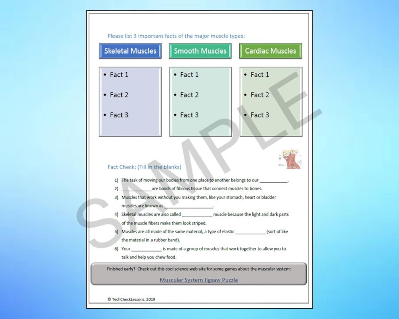 Muscular System Science Webquest Internet Activity - Editable DIGITAL ...