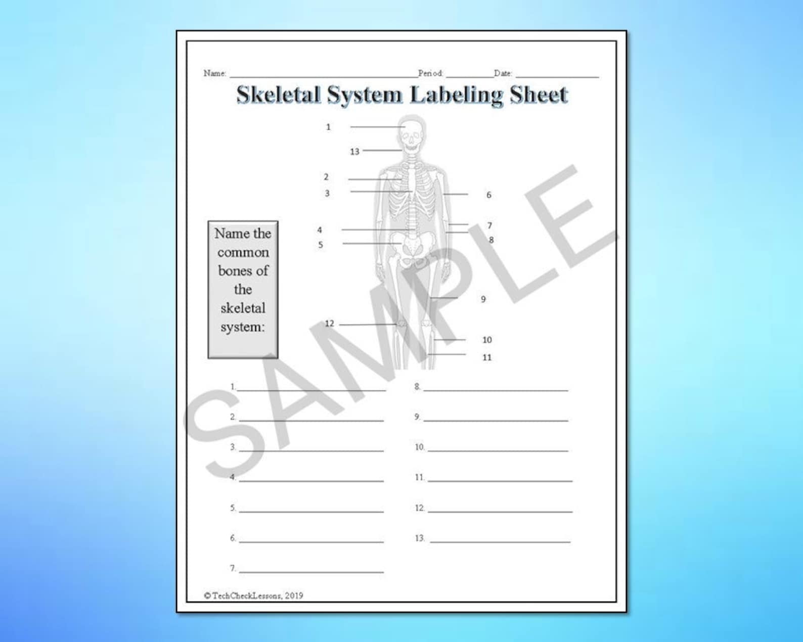 Human Body Systems Labeling Worksheets/activity/printable Bundle ...