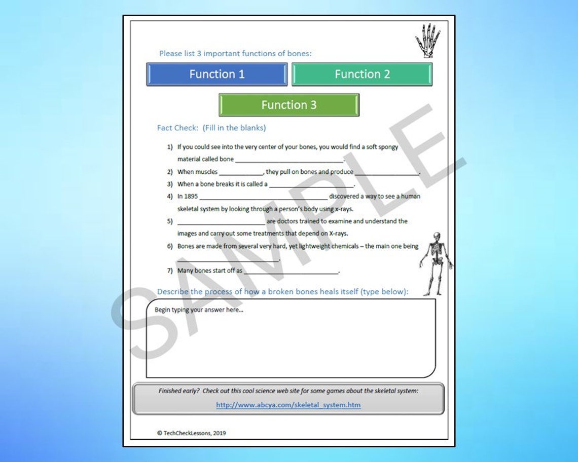 Skeletal System Science Webquest Internet Activity - Editable DIGITAL ...