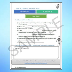 Skeletal System Science Webquest Internet Activity - Editable DIGITAL ...