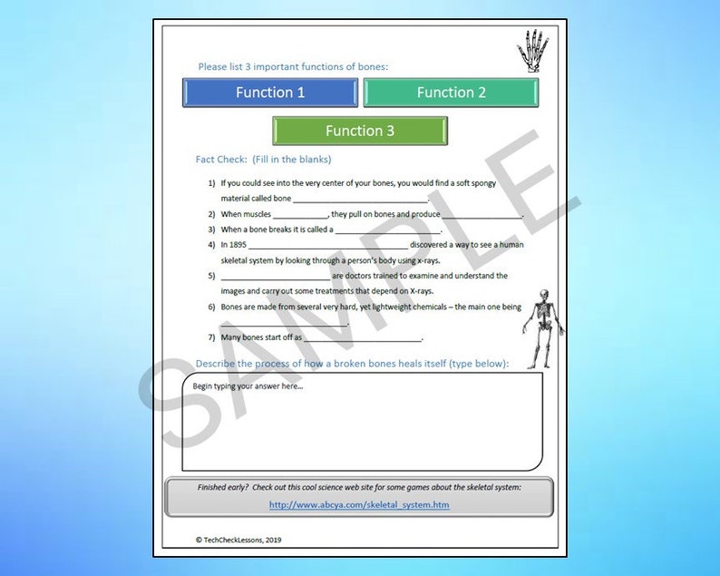 Skeletal System Science Webquest Internet Activity - Editable DIGITAL ...