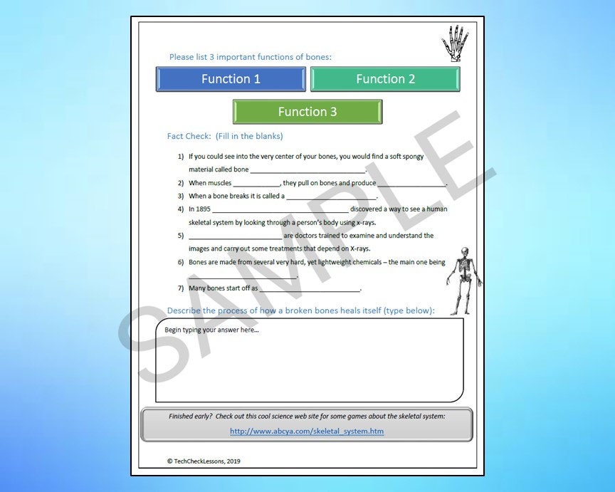 Skeletal System Science Webquest Internet Activity - Editable DIGITAL ...