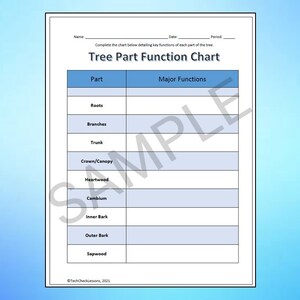 Parts of a Tree - Science Labeling Worksheet - Editable DIGITAL ...