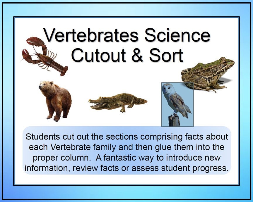 Vertebrates Cut Sort and Paste Worksheet Activity Science - Etsy