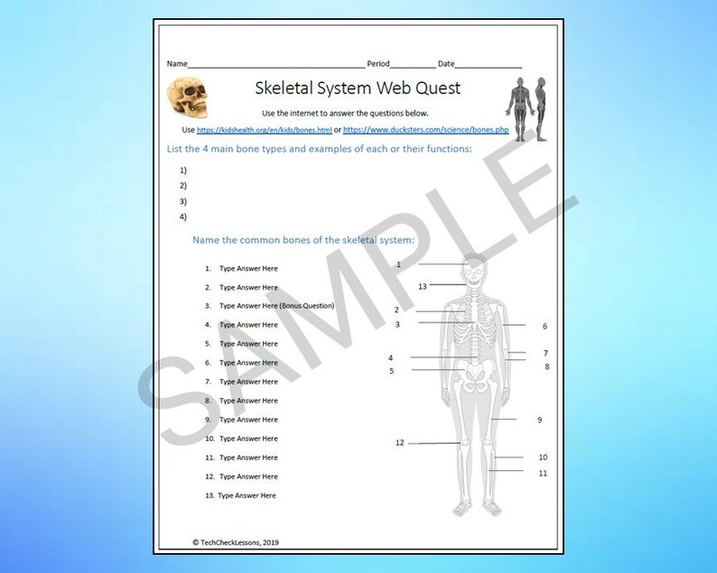 Skeletal System Science Webquest Internet Activity - Editable DIGITAL ...