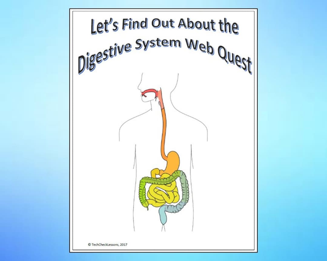 Digestive System Science Webquest Internet Activity - Editable DIGITAL ...