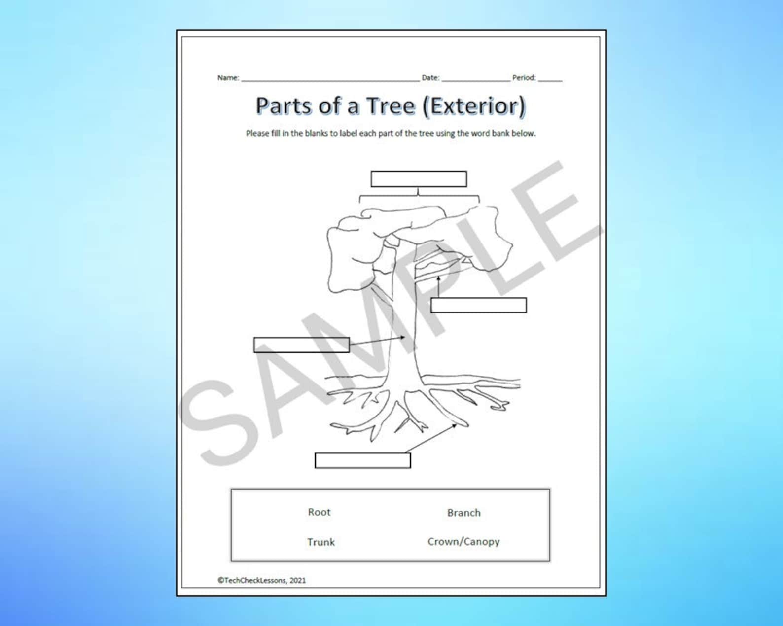 Parts of a Tree - Science Labeling Worksheet - Editable DIGITAL ...