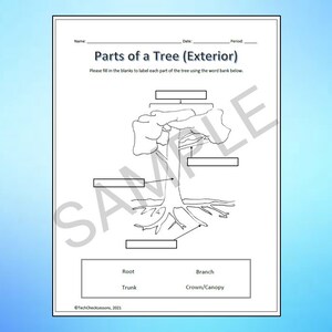 Parts of a Tree - Science Labeling Worksheet - Editable DIGITAL ...