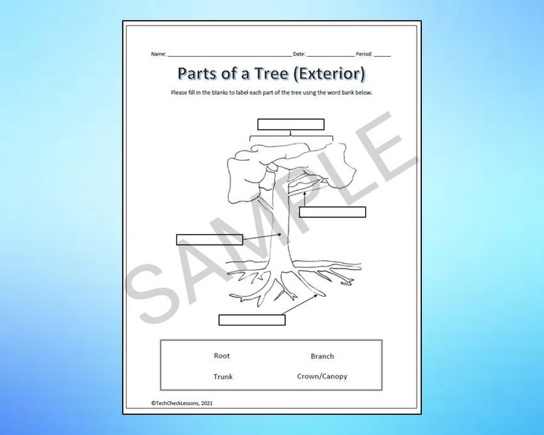 Parts of a Tree - Science Labeling Worksheet - Editable DIGITAL ...