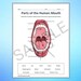 Parts of the Mouth Diagram Labeling Worksheet - Science Editable ...