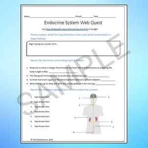 Endocrine System Science Webquest Internet Activity - Editable DIGITAL ...