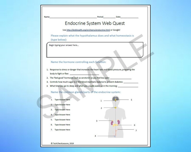Endocrine System Science Webquest Internet Activity - Editable DIGITAL ...