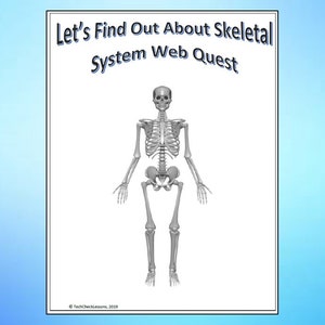 Skeletal System Science Webquest Internet Activity - Editable DIGITAL ...