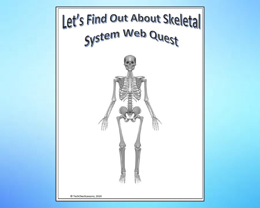 Skeletal System Science Webquest Internet Activity - Editable DIGITAL ...