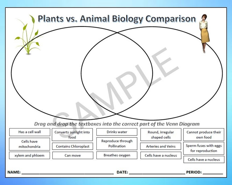 Plants Vs Animals Biology Comparison Worksheet Science Editable DIGITAL ...