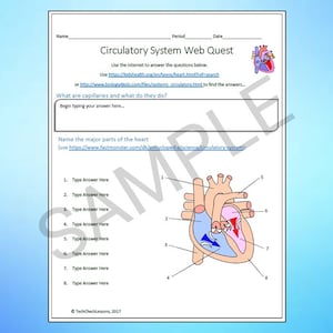 Circulatory System Science Webquest Internet Activity - Editable ...