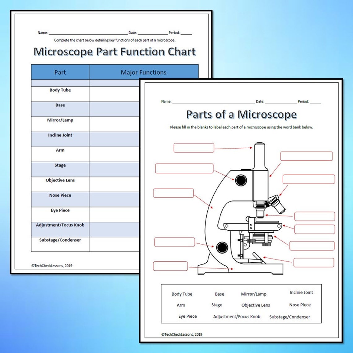 Parts of a Microscope Labeling & Functions Worksheet - Science Editable ...