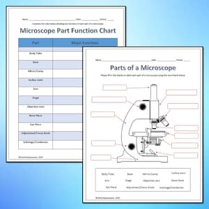 Parts of a Microscope Labeling & Functions Worksheet - Science Editable ...